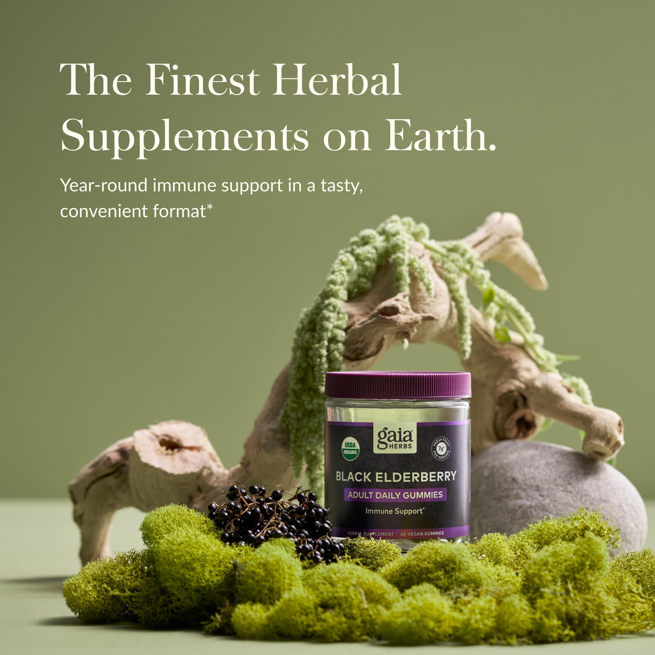 40 gummies for daily elderberry intake