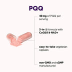 40 mg PQQ for energy support