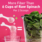 40 servings of fiber powder