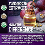 400 mg grape seed extract benefits