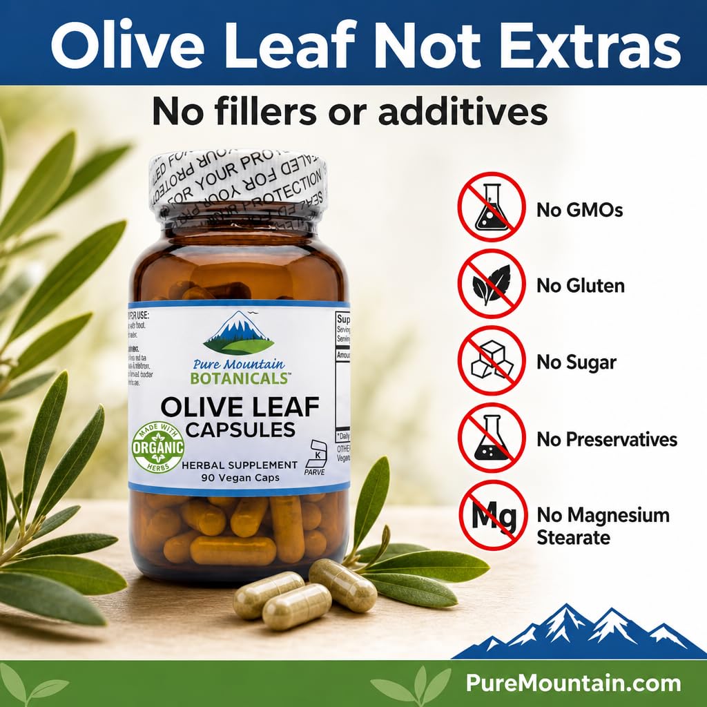 400 mg olive leaf extract benefits