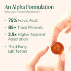400 mg Shilajit gummies for wellness