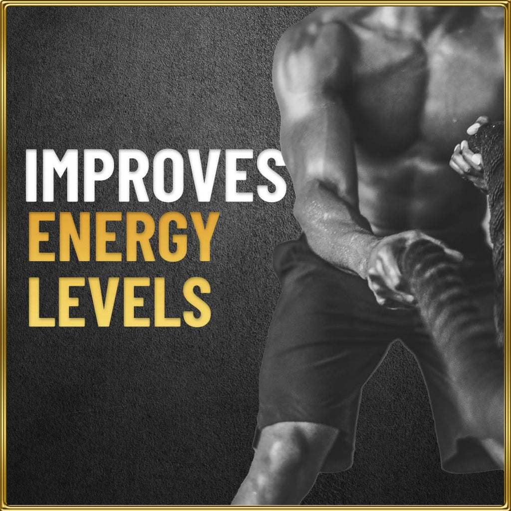 400 mg shilajit resin benefits
