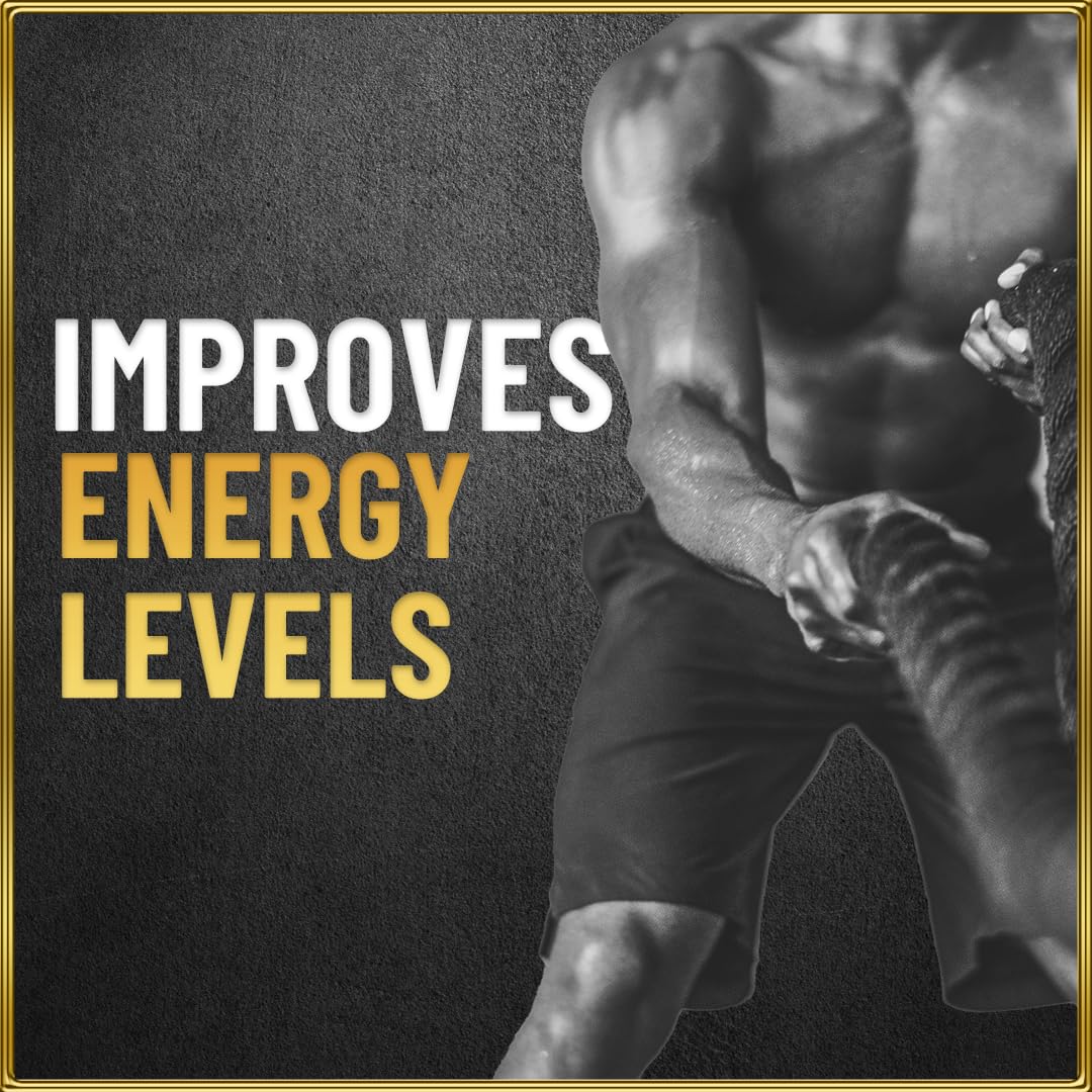 400 mg shilajit resin benefits