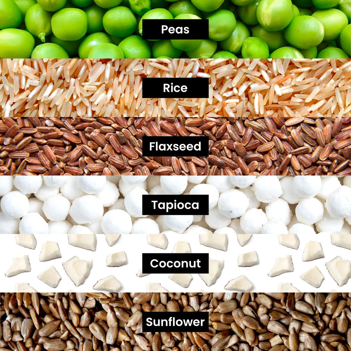 40g protein per serving