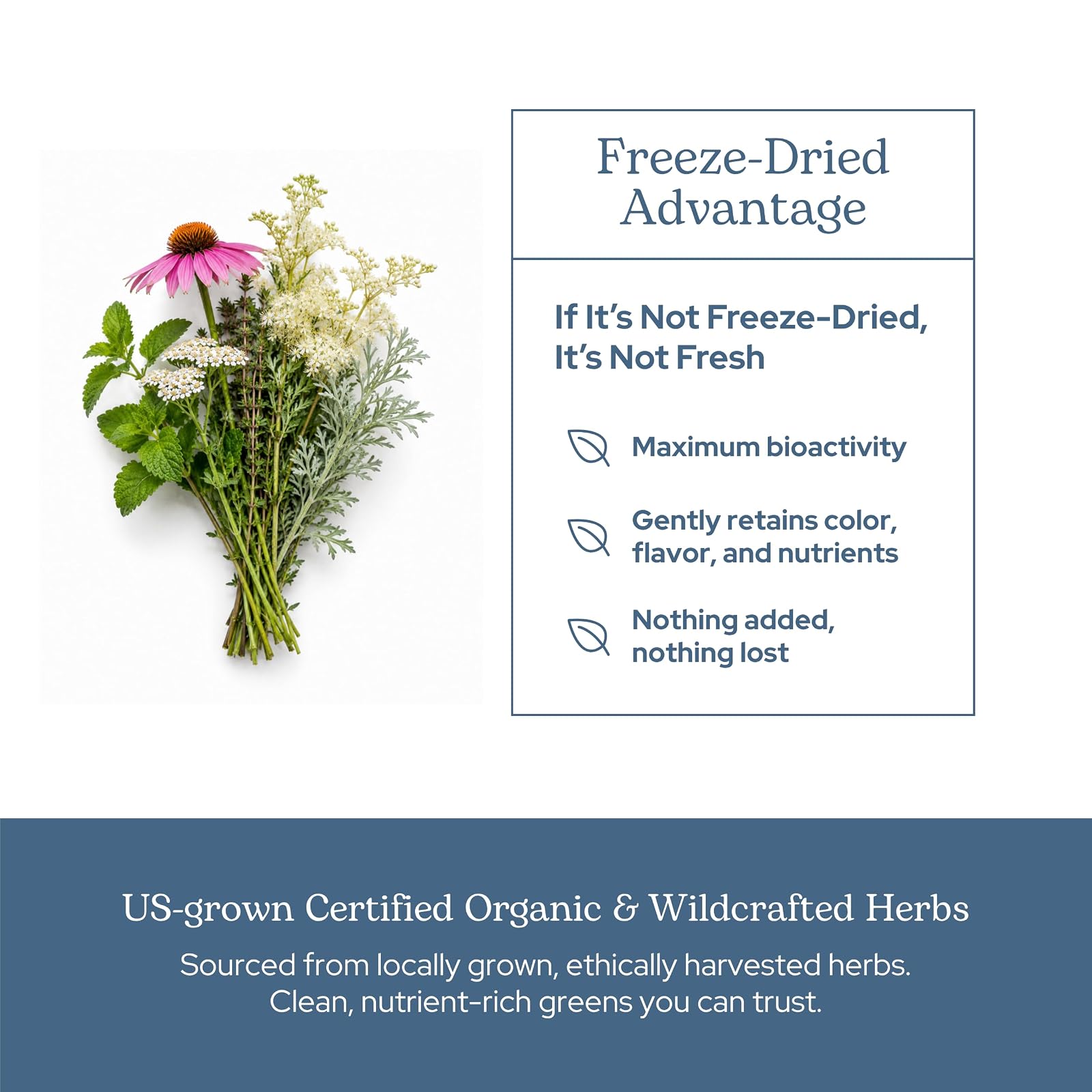 45 capsules of milk thistle