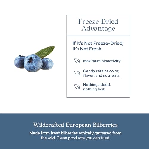 450 mg bilberry for daily use