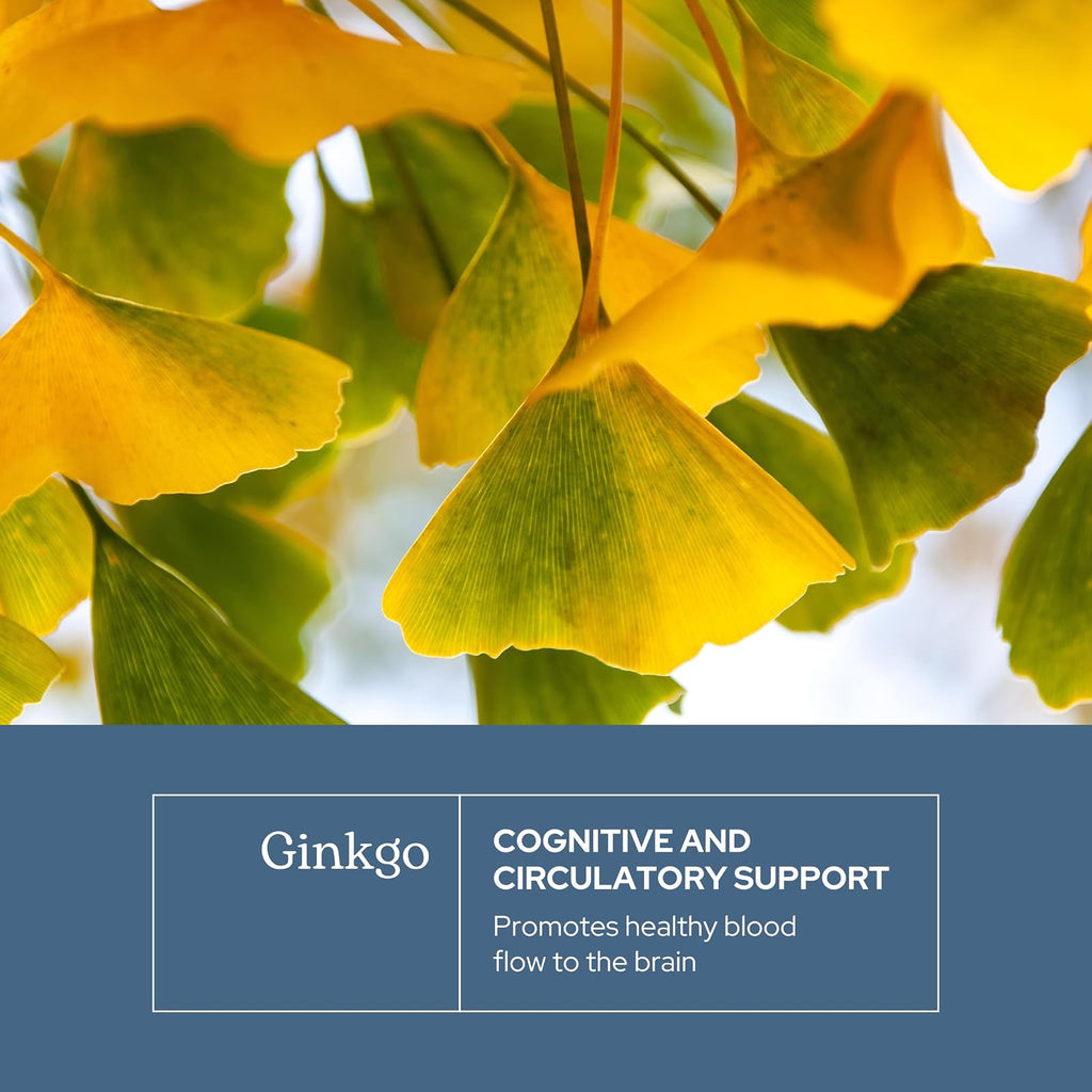 450 mg ginkgo biloba for focus