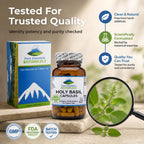 450 mg Holy Basil for wellness