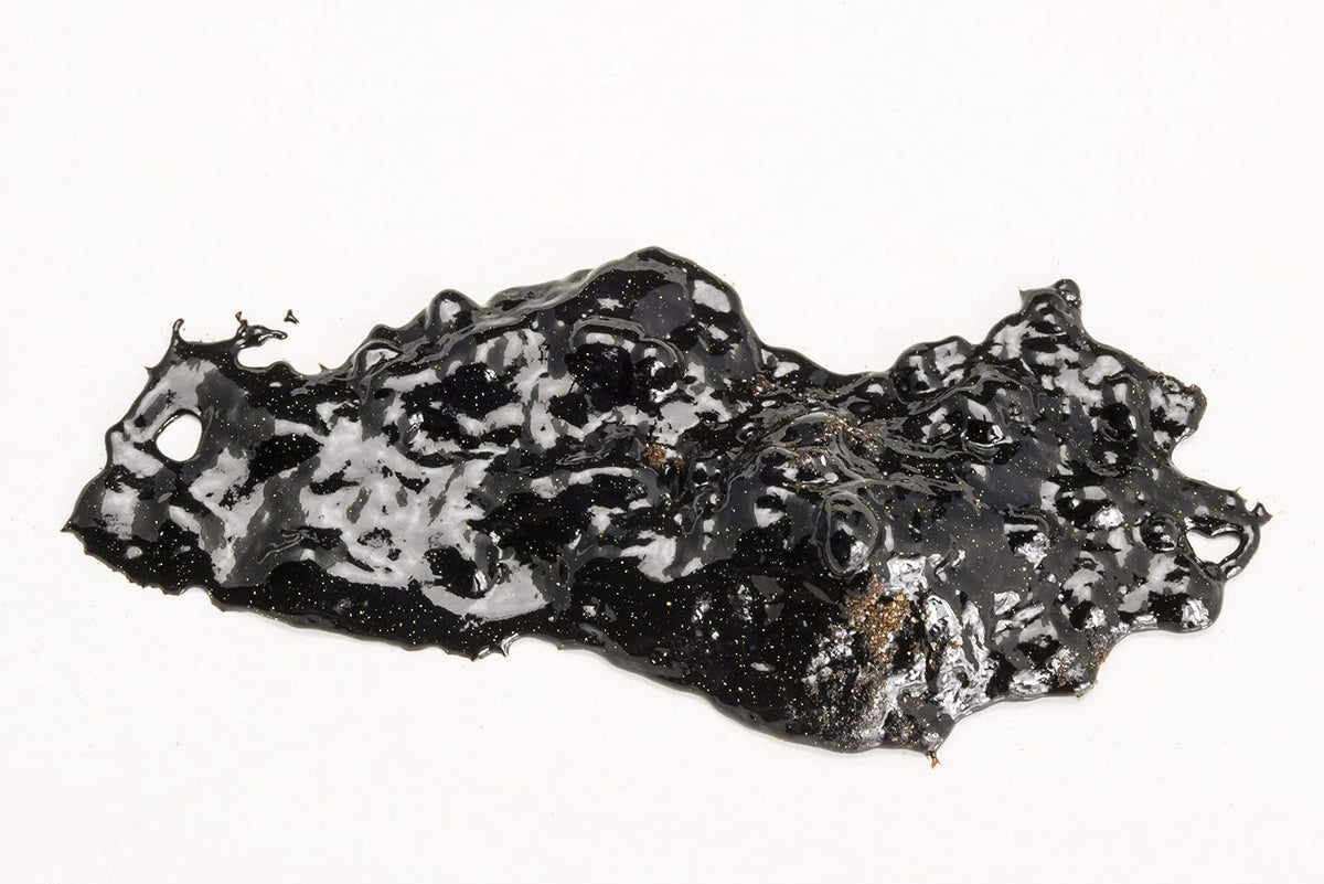 450 mg shilajit for daily wellness