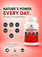 450 mg vegetarian olive leaf supplement