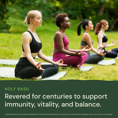 480mg holy basil capsules benefits