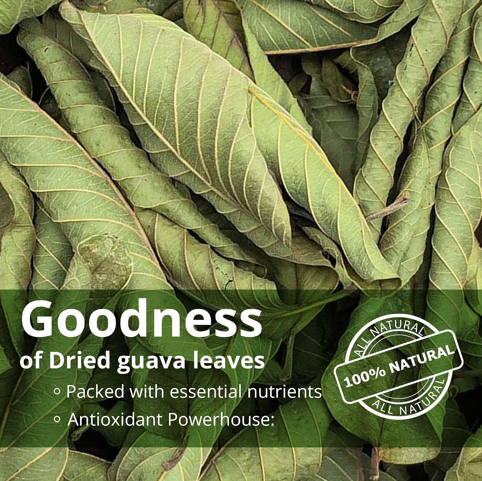 5.2 oz dried guava leaves package
