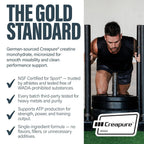 5 g creatine for muscle recovery