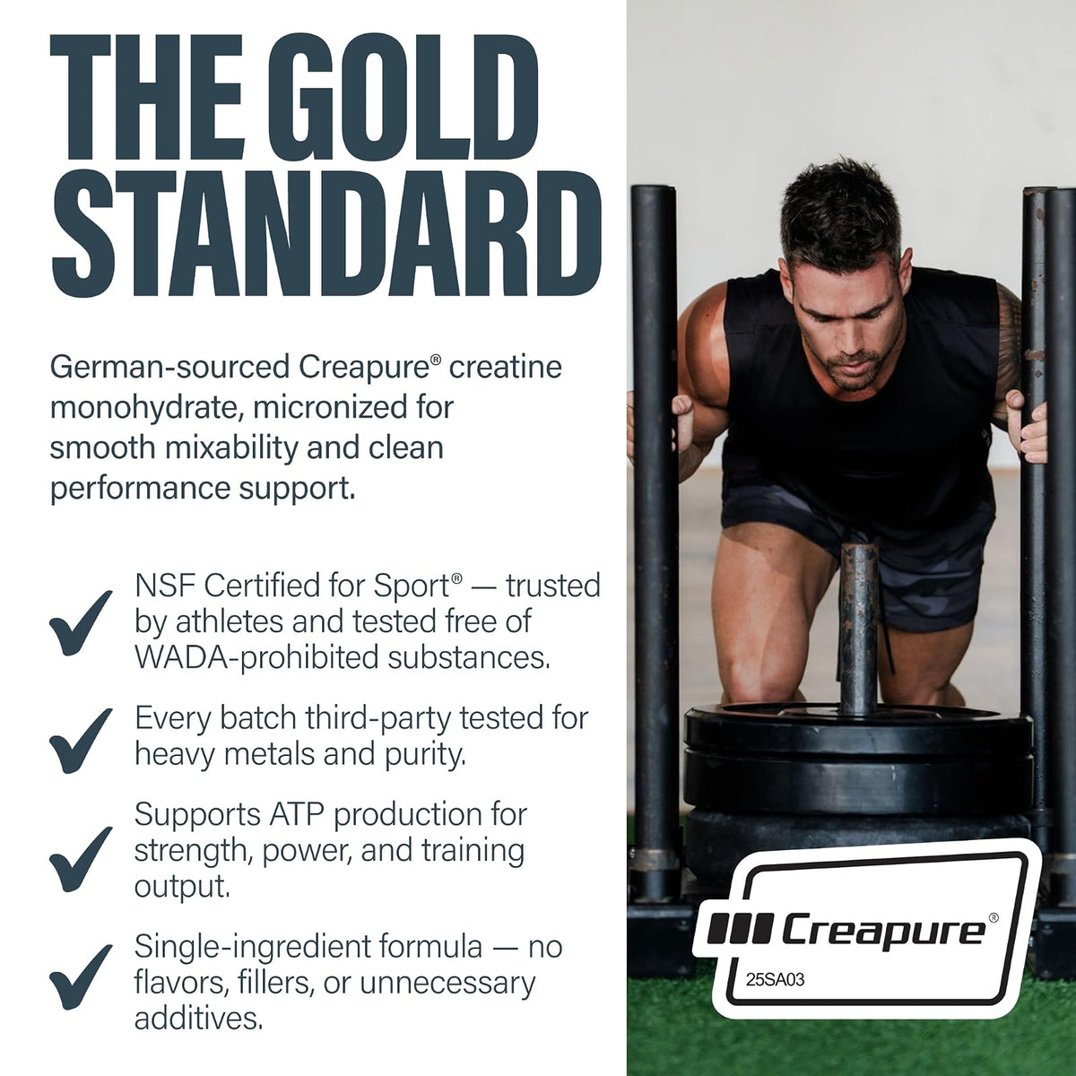 5 g creatine for muscle recovery