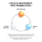 5 g creatine gummies for performance