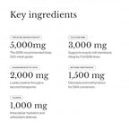 5 g creatine serving for optimal performance