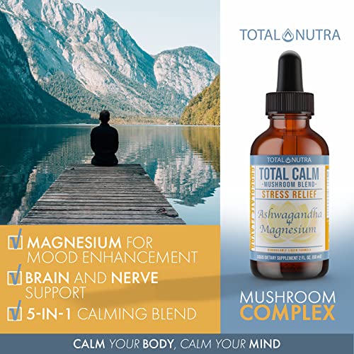 5-in-1 mushroom supplement for wellness