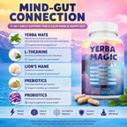 5 in 1 yerba mate health benefits