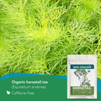 5 LB bulk horsetail herb