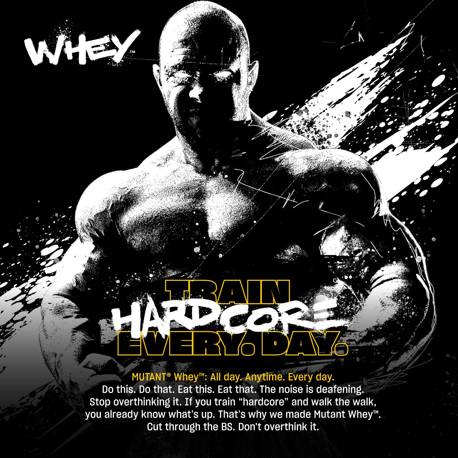 5 lb whey protein tub