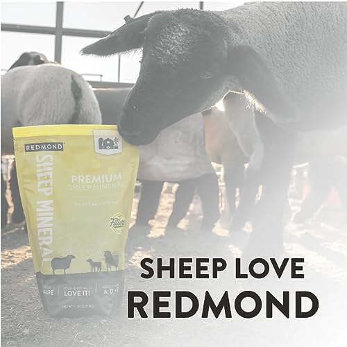 5 lbs Redmond mineral supplement benefits