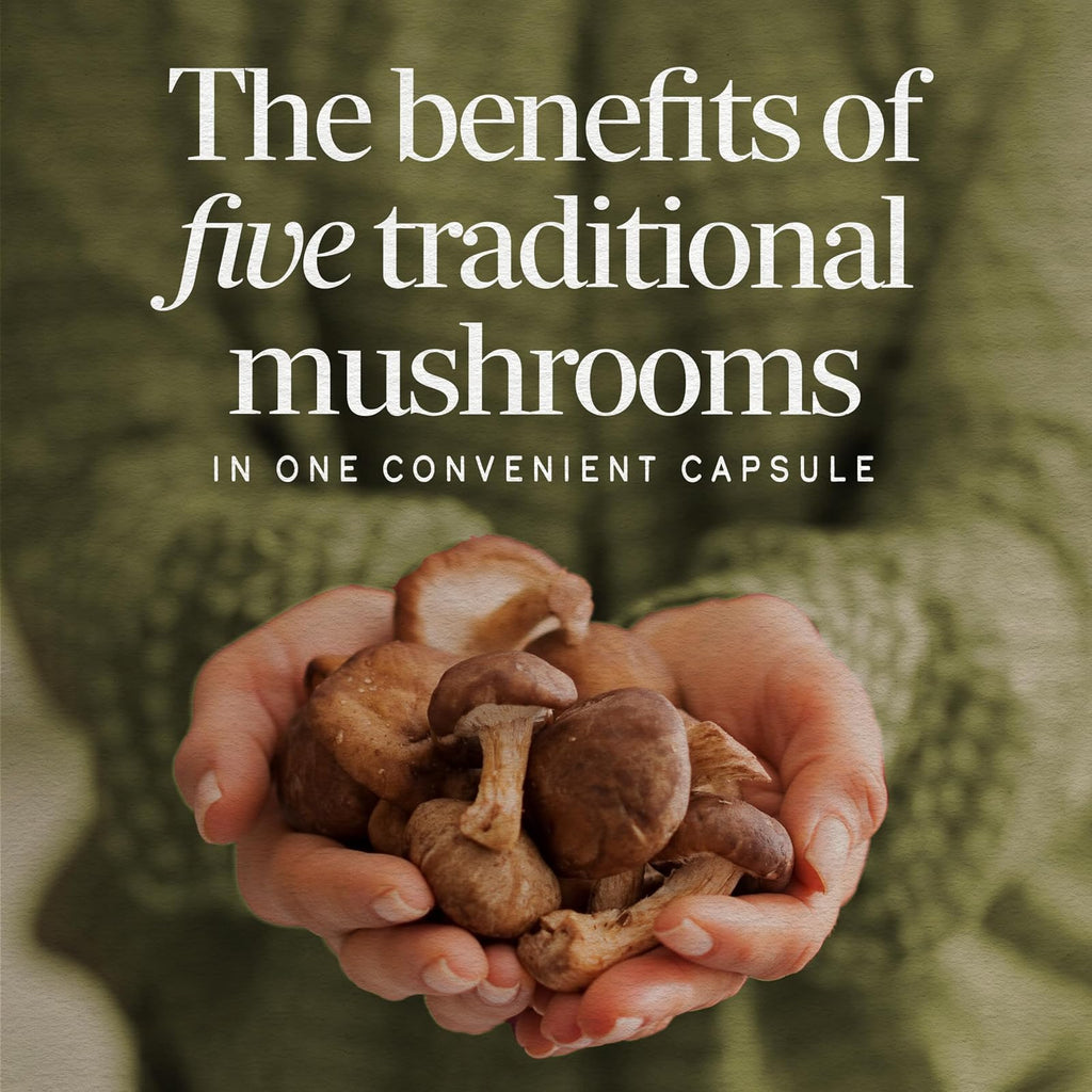 5-mushroom blend for immune support