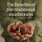 5-mushroom blend for immune support