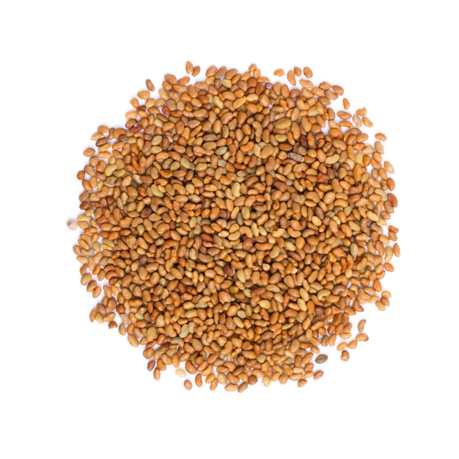 5 pounds of alfalfa sprouting seeds