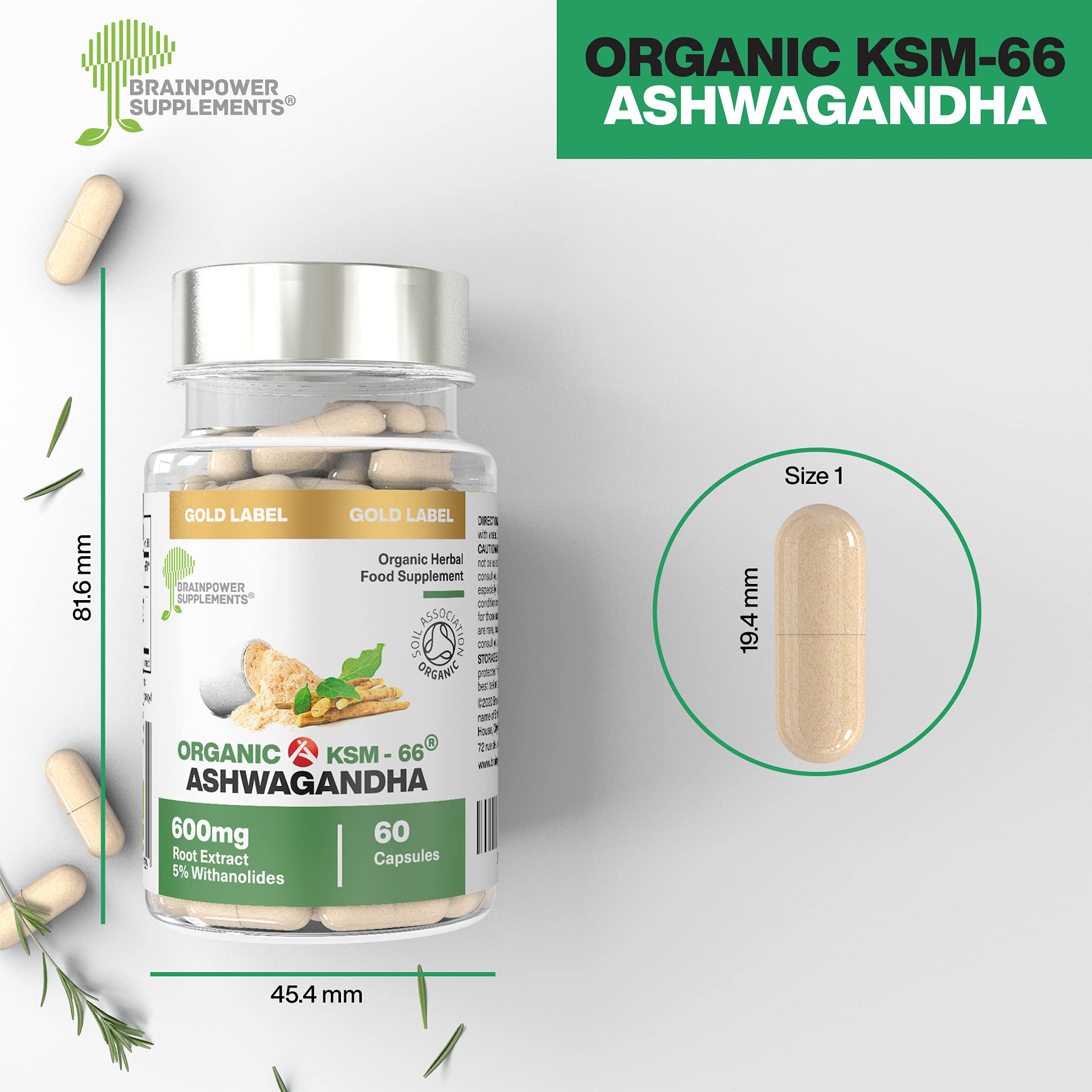 5% withanolides ashwagandha extract