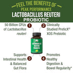 50 billion CFU digestive support