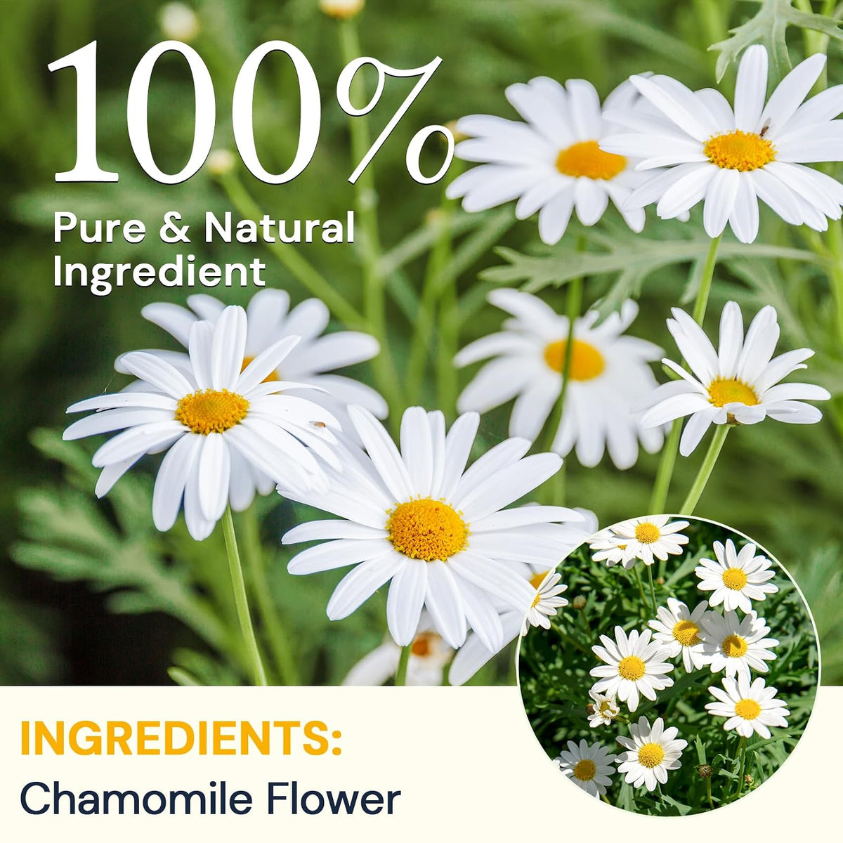 50 chamomile tea bags for soothing sleep
