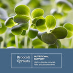 50 count broccoli sprouts health benefits