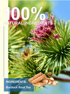 50 count burdock root tea