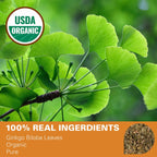 50 count ginkgo biloba tea bags
