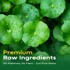 50 count Gotu Kola tea for relaxation