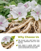 50 count marshmallow root tea bags