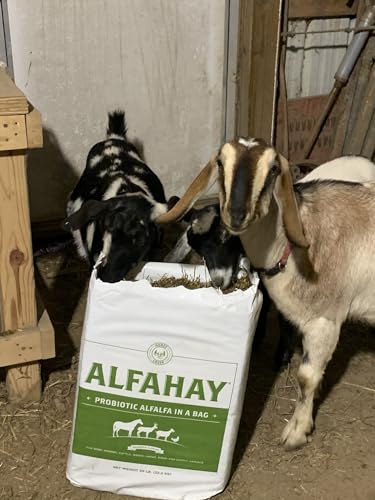 50-lb bag of alfalfa nutrition