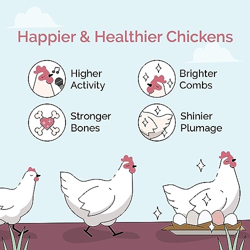 50 lbs bag of poultry feed for optimal nutrition