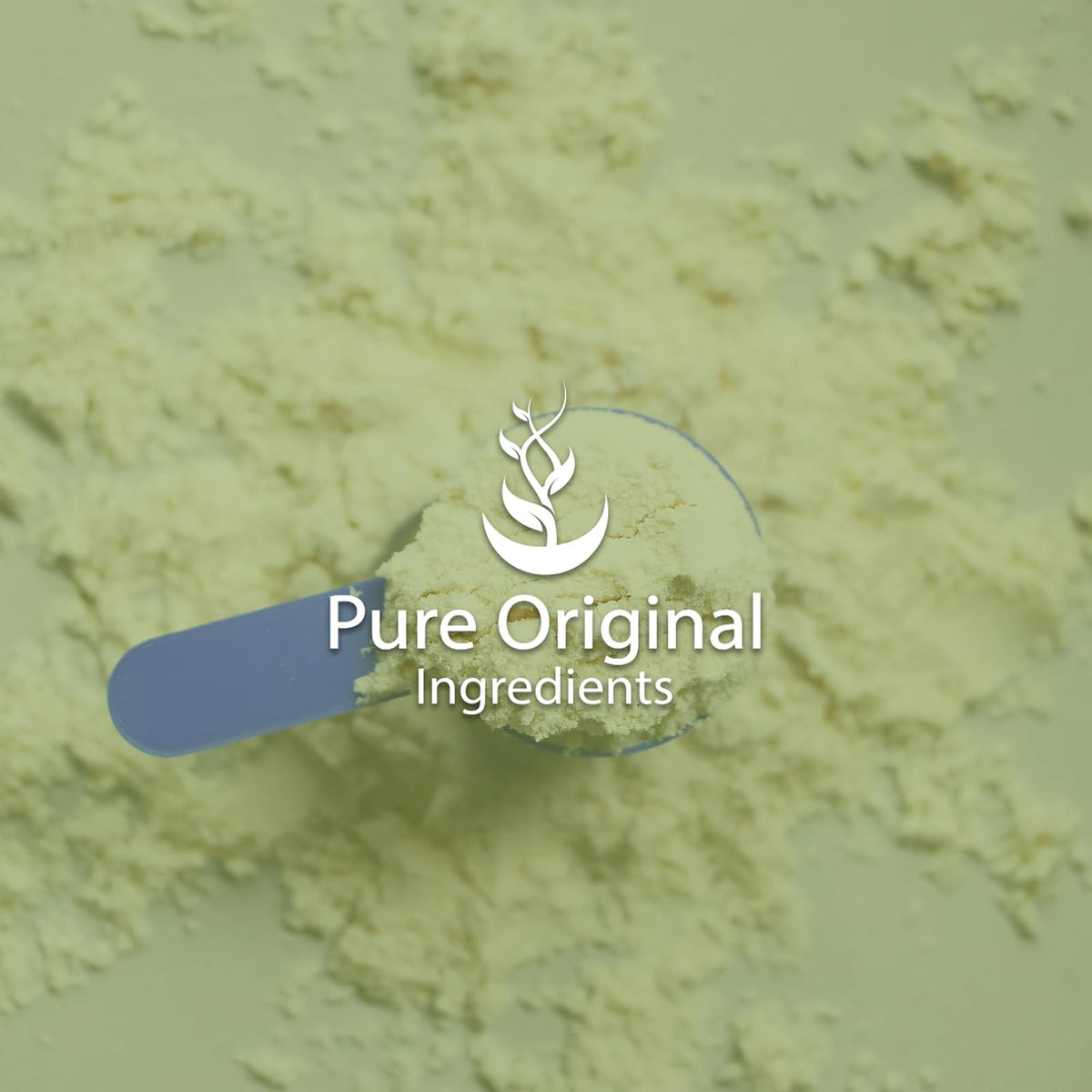 50 mg zinc gluconate for immune support