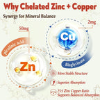 50 mg Zinc Picolinate for wellness