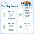 50 mg zinc supplement for immunity