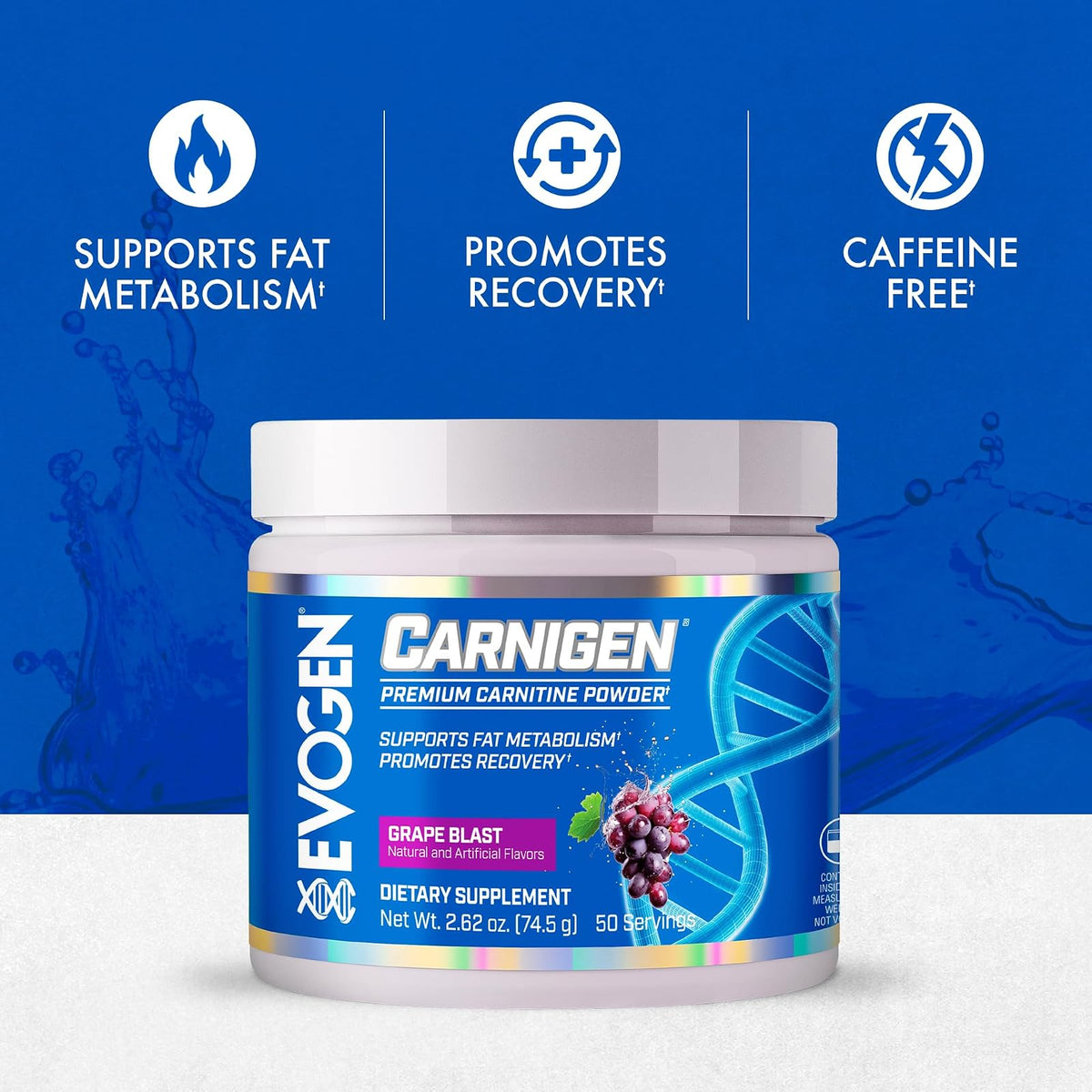 50 servings of acetyl l-carnitine
