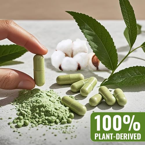 500 count empty capsules pack
