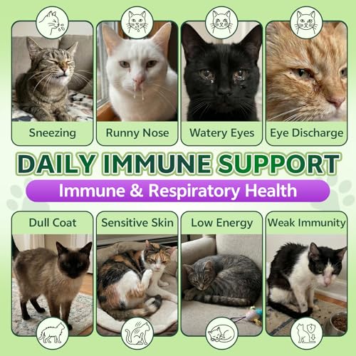 500 count L-Lysine cat treats