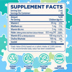 500 mcg folate supplement