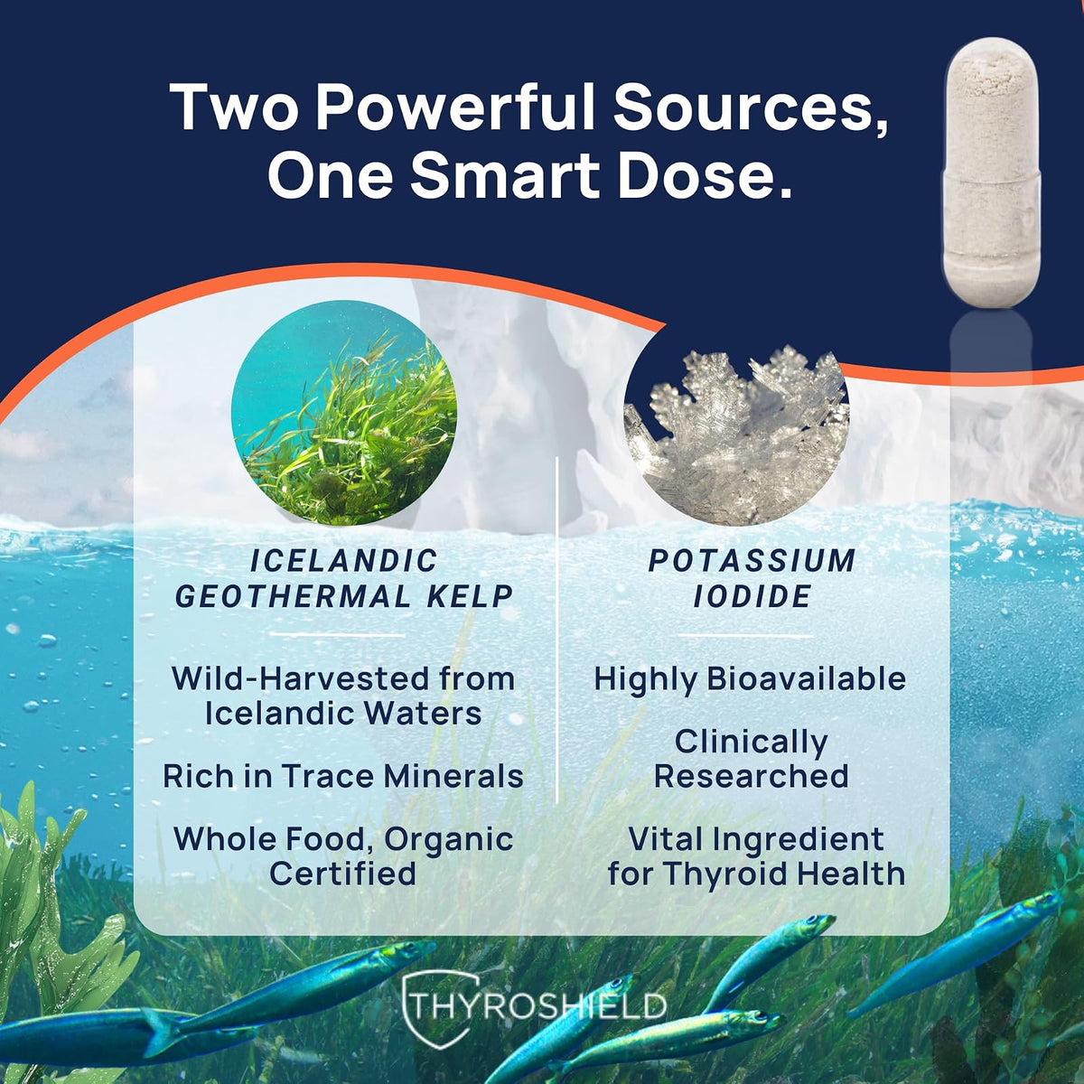 500 mcg iodine for thyroid health