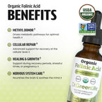 500 mcg vitamin B9 supplement