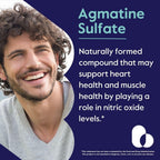 500 mg Agmatine for muscle support