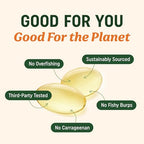 500 mg algae omega supplement